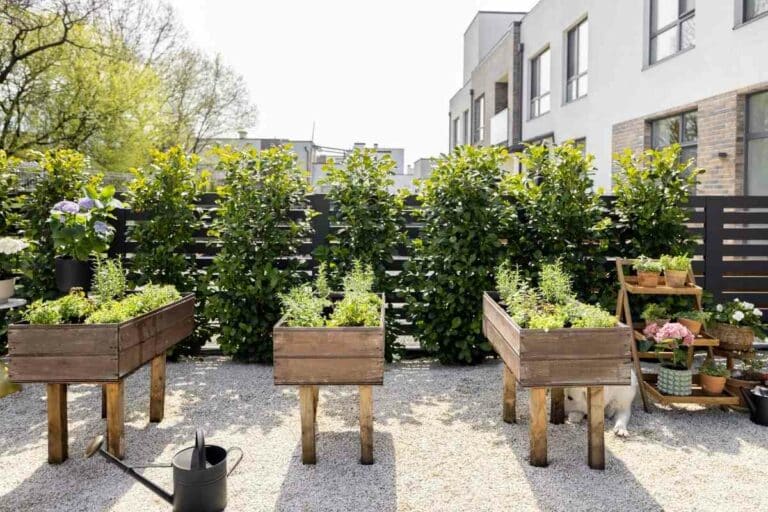 Lining Planters - 8 Types and Uses - Gardenia Organic