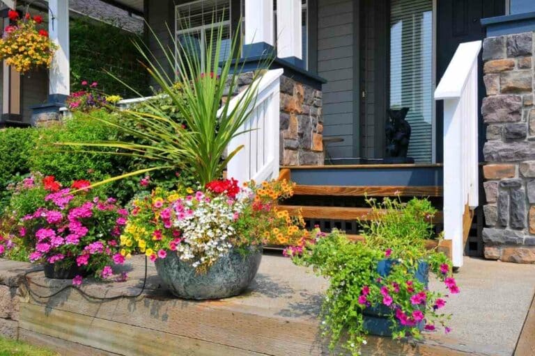 Lining Planters - 8 Types and Uses - Gardenia Organic