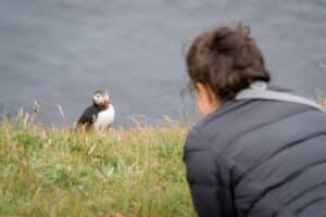 Become an Ornithologist ( Get paid to watch birds) - Gardenia Organic