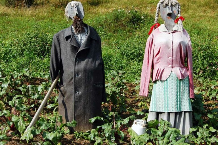 Scarecrows in the Garden: Do They Actually Work? - Gardenia Organic