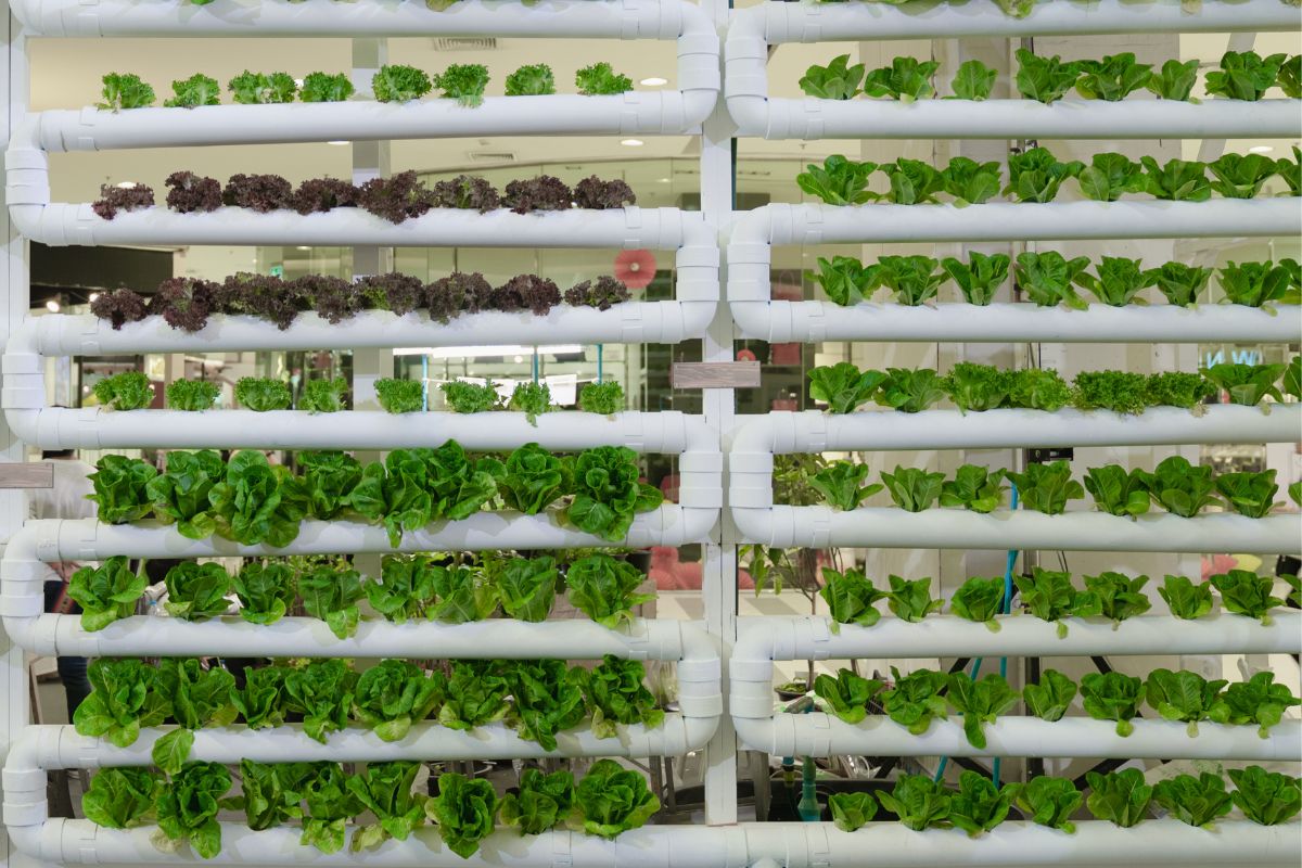 Best Vertical Garden Tower: Transforming Your Patio into a Plant ...