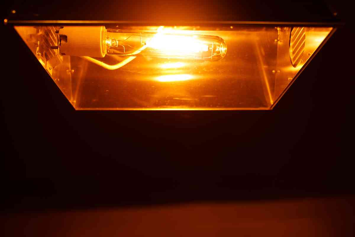 Outdoor Light Bulb Color Explained - Gardenia Organic