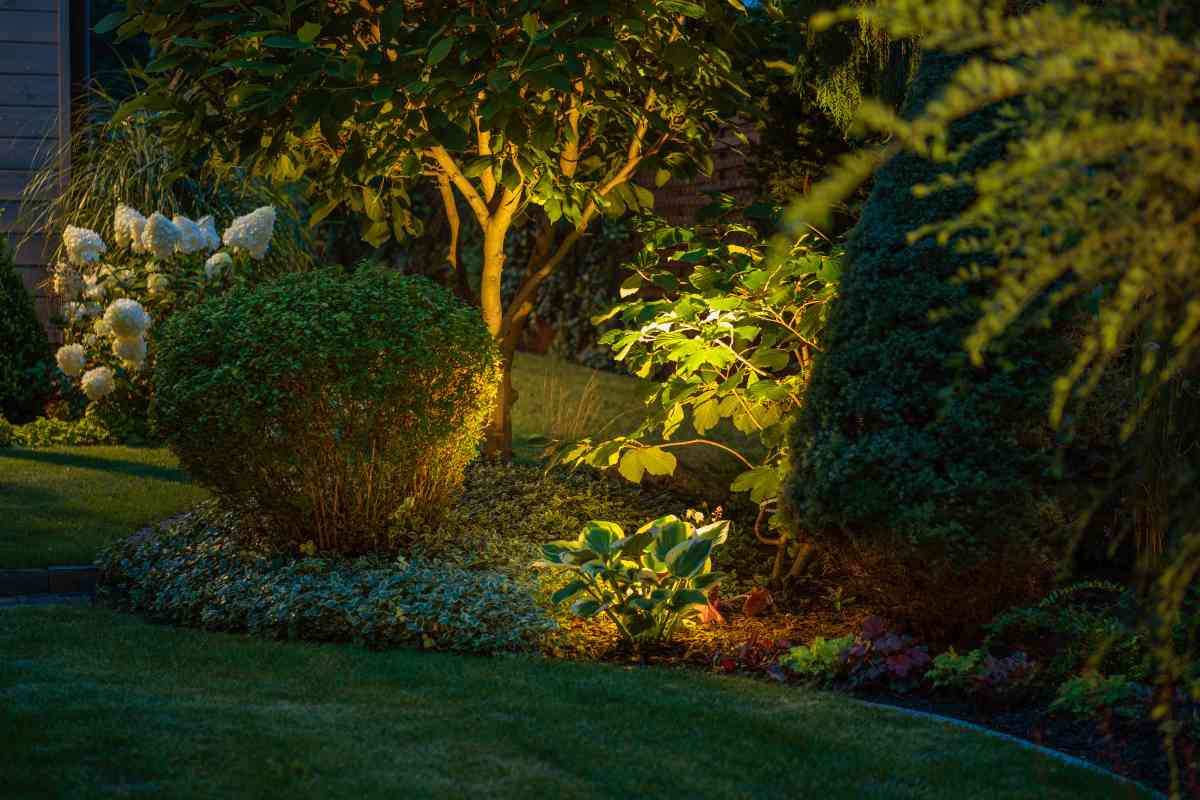 Landscape Lighting for Trees (Factors & Techniques)