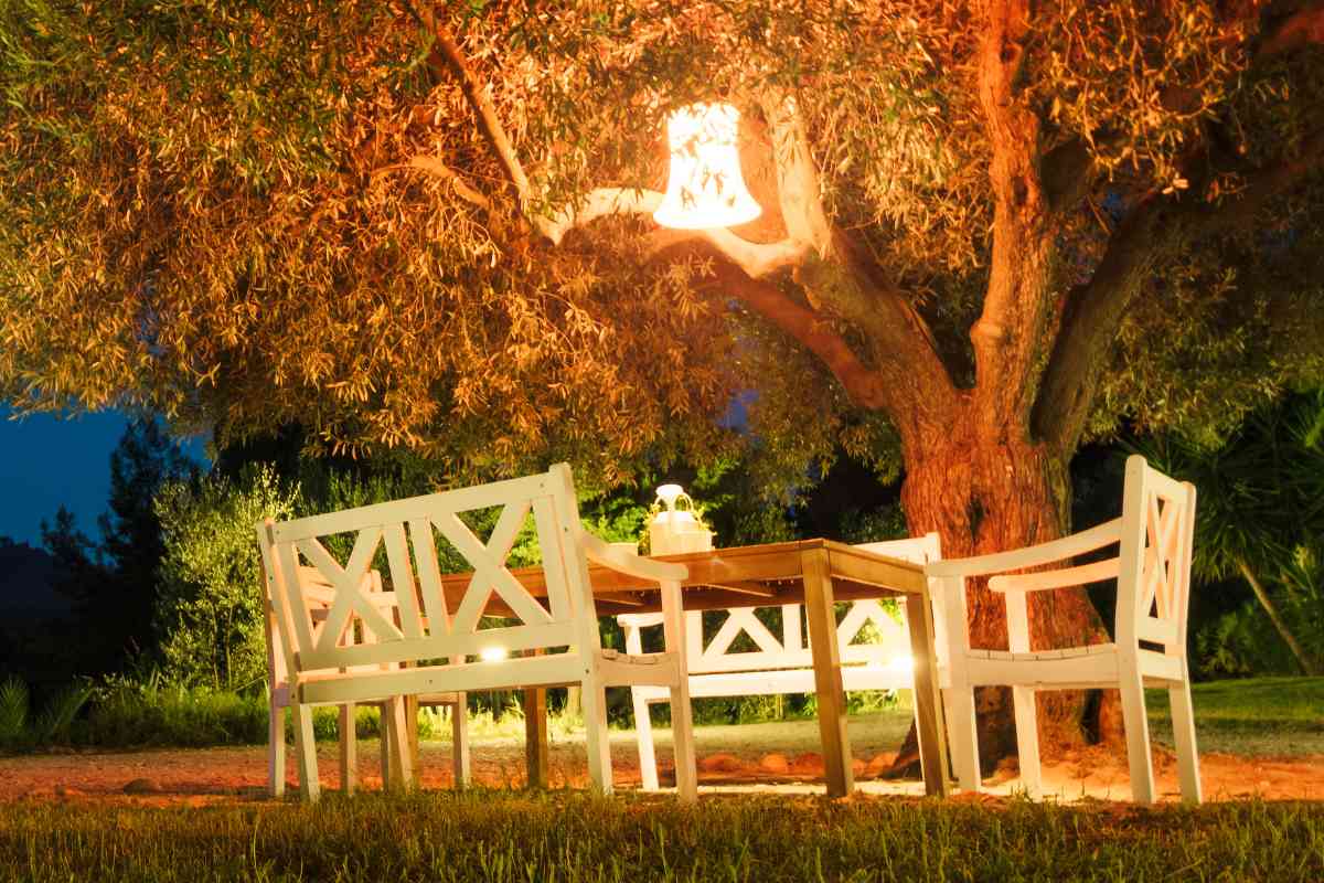 Landscape Lighting for Trees (Factors & Techniques)