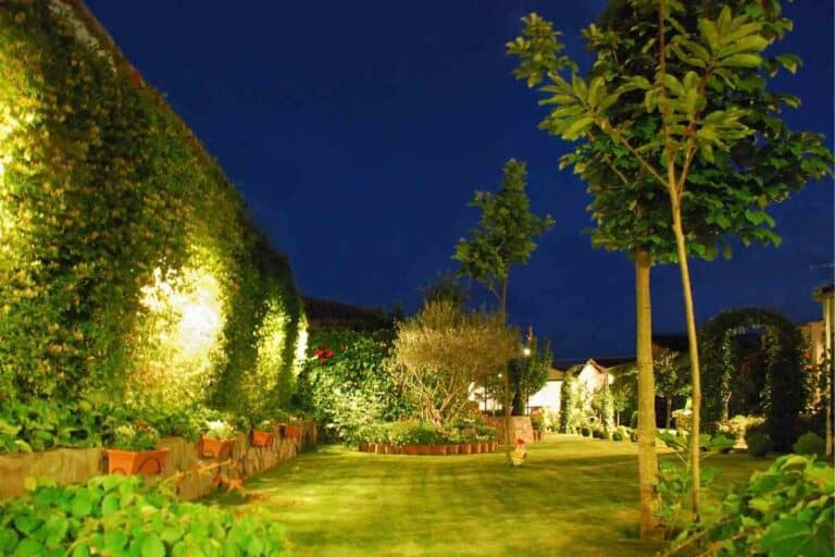 Landscape Lighting for Trees (Factors & Techniques)
