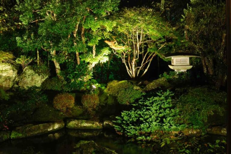 Landscape Lighting for Trees (Factors & Techniques)
