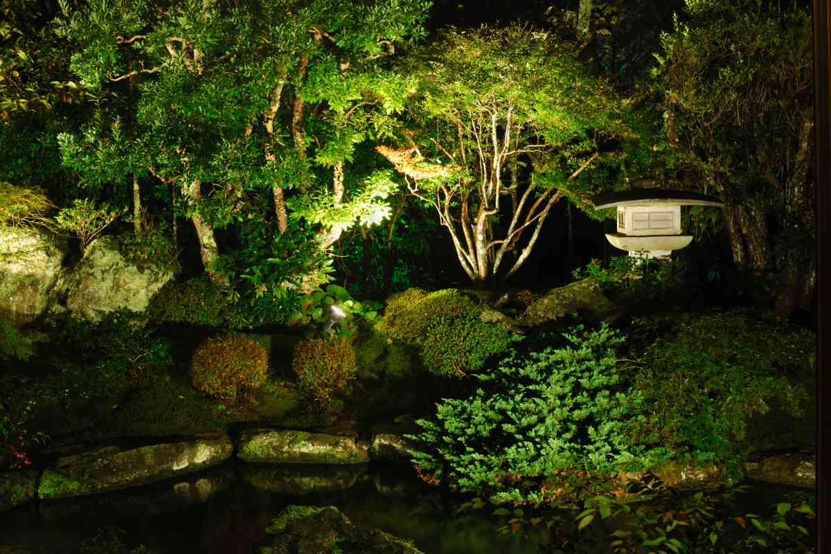 Landscape Lighting for Trees (Factors & Techniques)