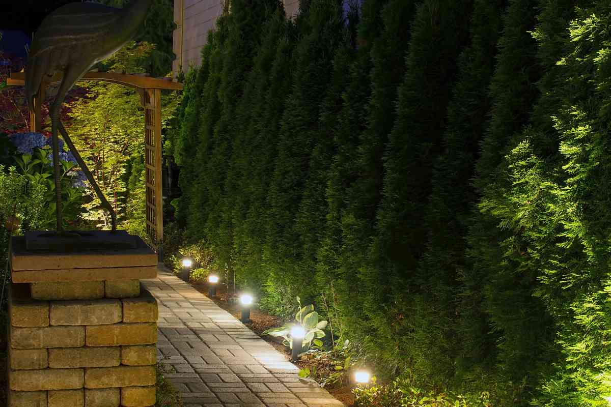 Landscape Lighting for Trees (Factors & Techniques)