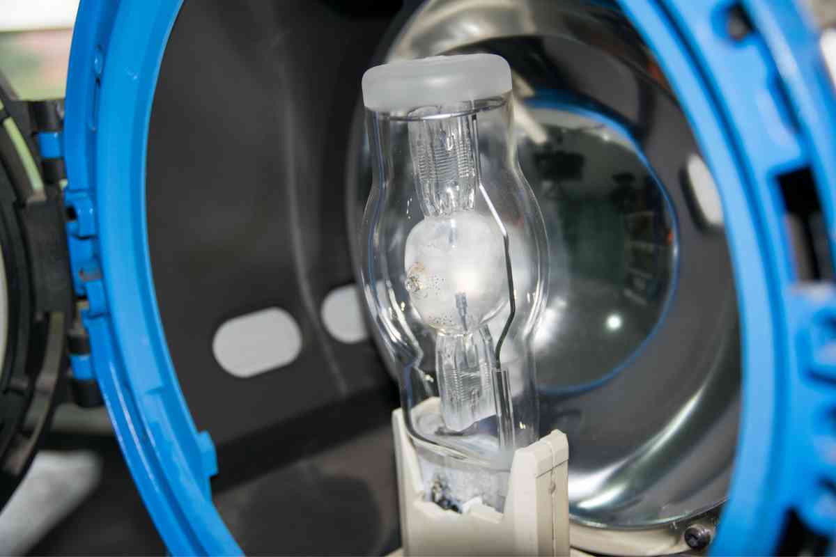 Outdoor Light Bulb Color Explained - Gardenia Organic