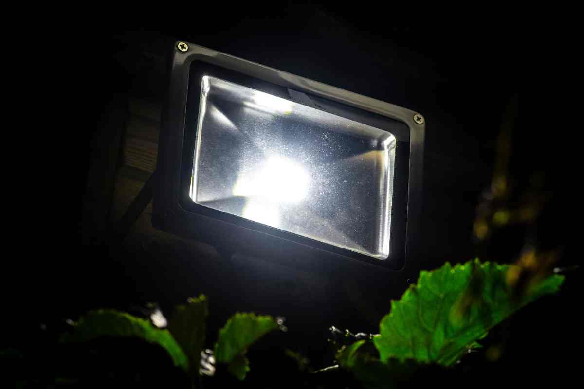 Flood vs Spotlight (Choosing the Right Illumination)