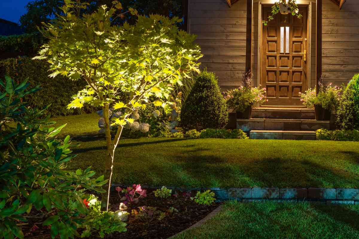 Landscape Lighting for Trees (Factors & Techniques)
