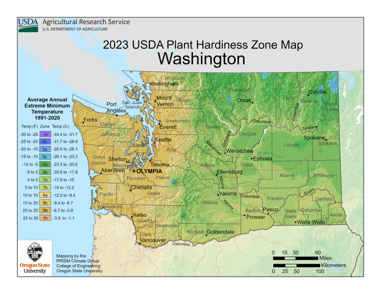 Washington Plant Hardiness Zones Map And Gardening Guide - Gardenia Organic