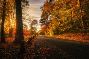 Connecticut Plant Hardiness Zones Map And Gardening Guide - Gardenia ...