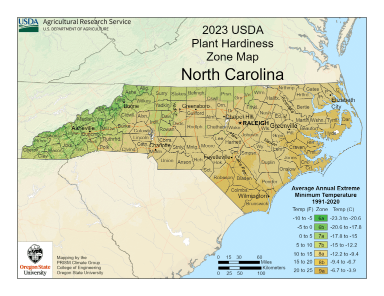 North Carolina Plant Hardiness Zones Map And Gardening Guide - Gardenia ...
